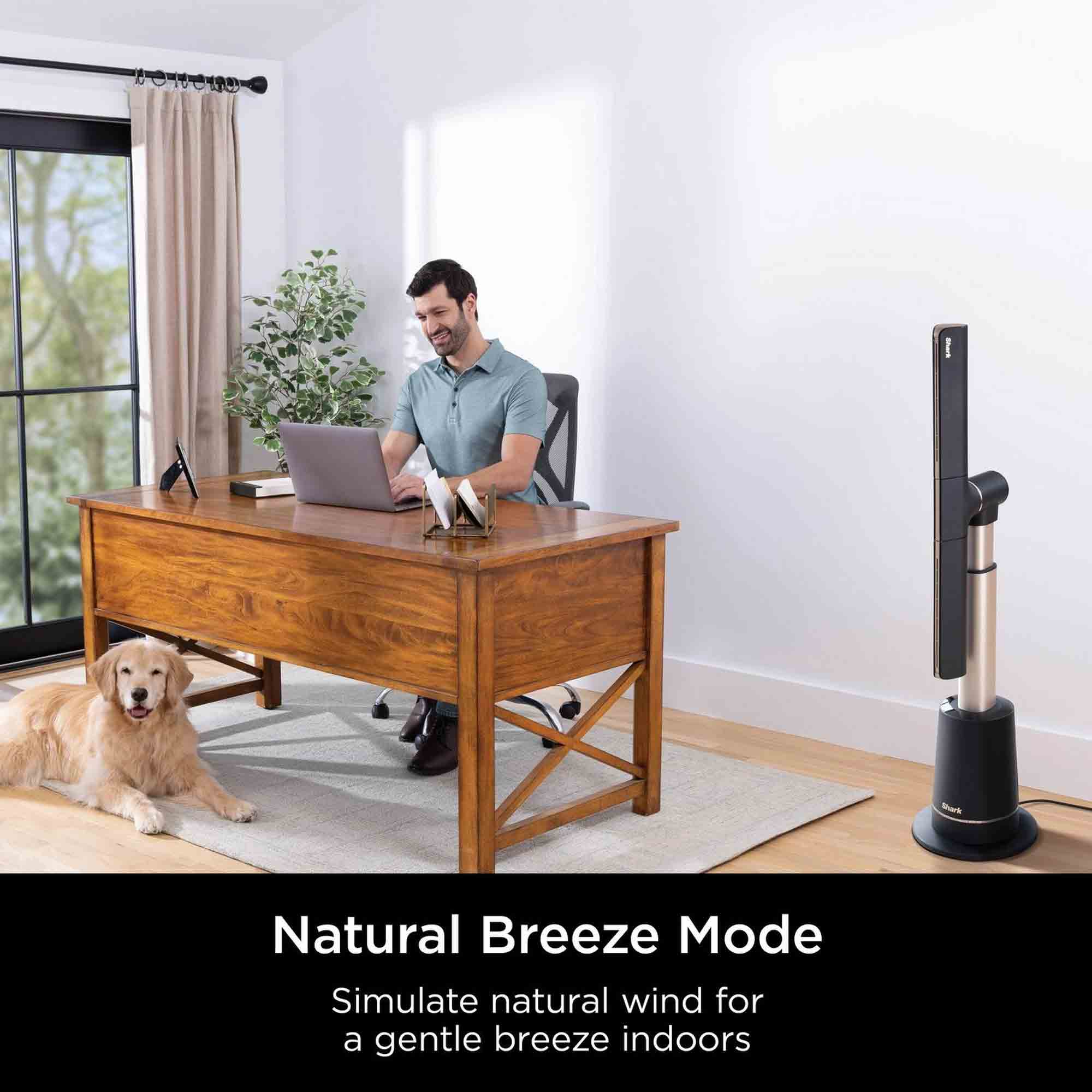 Shark TurboBlade Cooling Fan with Multi-Directional Airflow